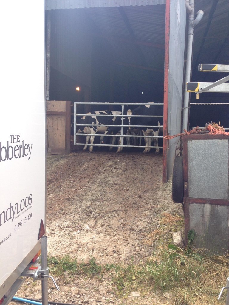 Gallery | Glastonbury Festival | Page 8